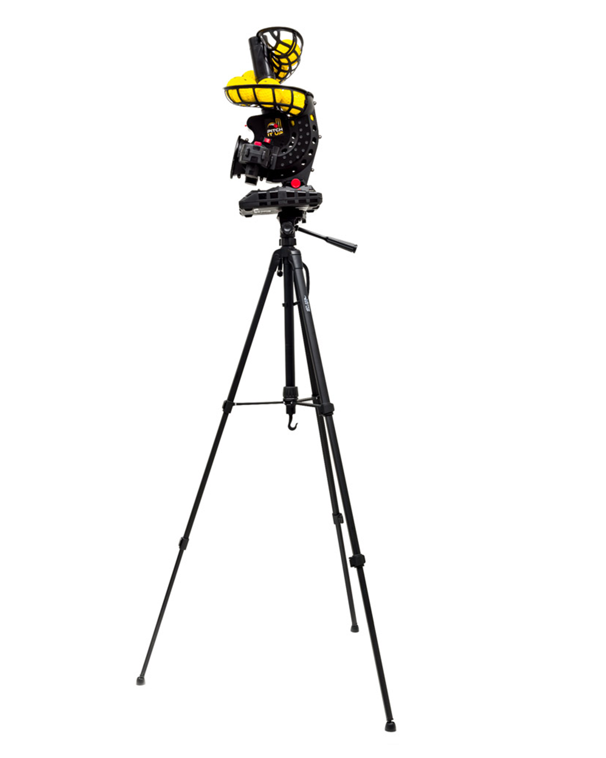 Pitch It Up Cricket Training Aid – WHACK Sports