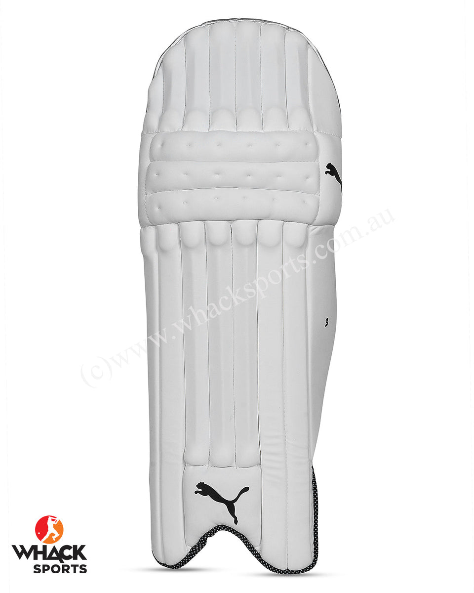 Puma Future 3 Cricket Batting Pads - Adult – WHACK Sports