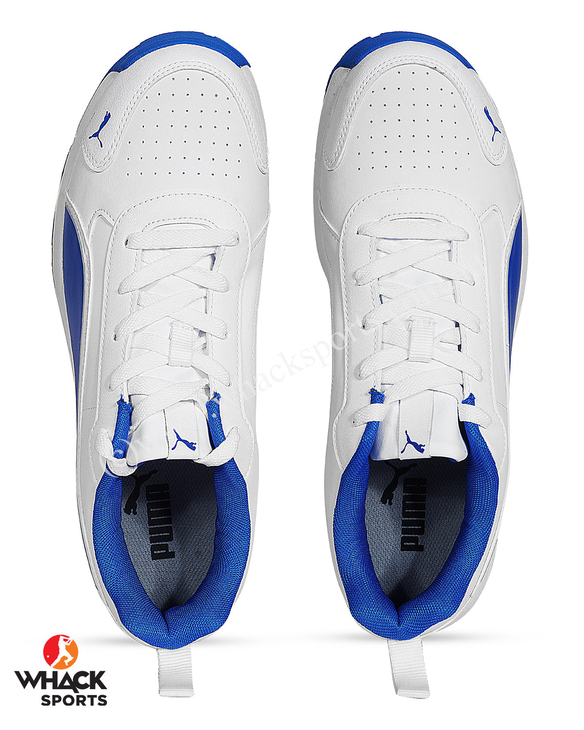 Puma Cricket Classicat - Rubber Cricket Shoes - Team Royal Puma Silver ...