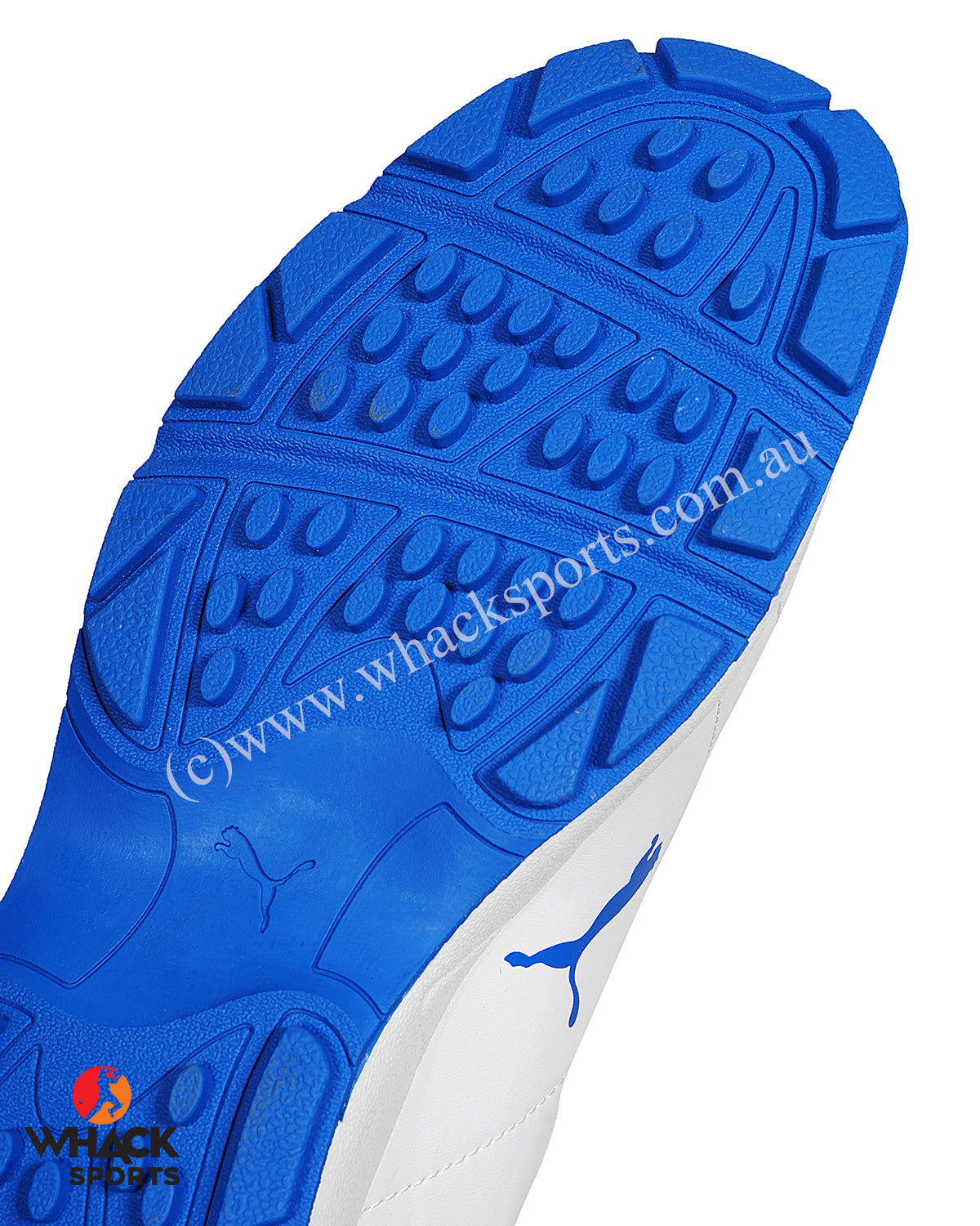 Puma Cricket Classicat - Rubber Cricket Shoes - Team Royal Puma Silver ...