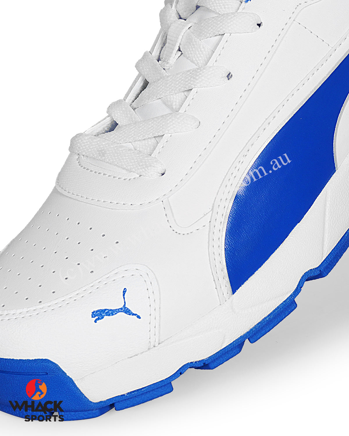 Puma Cricket Classicat - Rubber Cricket Shoes - Team Royal Puma Silver ...