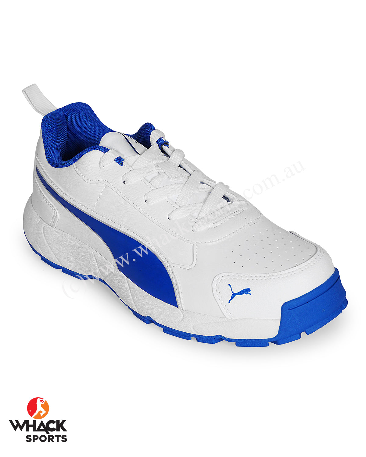 Puma Cricket Classicat - Rubber Cricket Shoes - Team Royal Puma Silver ...