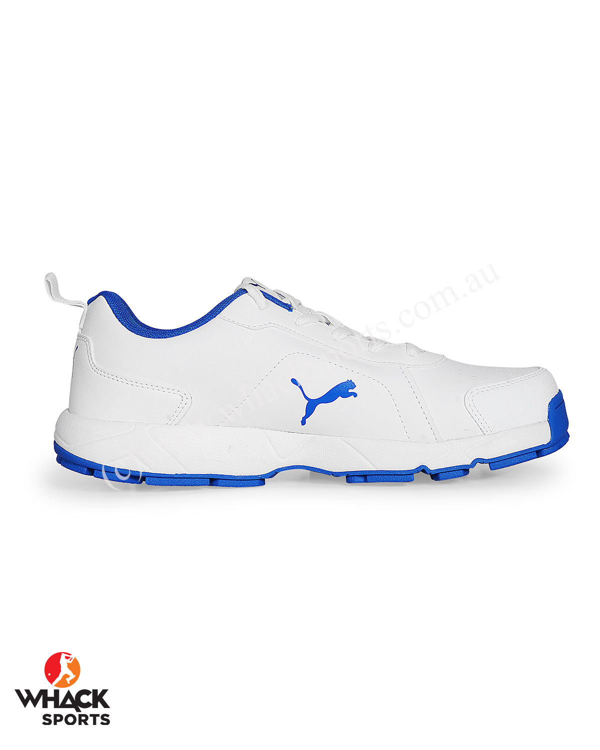 Puma Cricket Classicat - Rubber Cricket Shoes - Team Royal Puma Silver ...